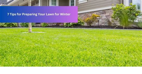 7 Tips For Preparing Your Lawn For Winter