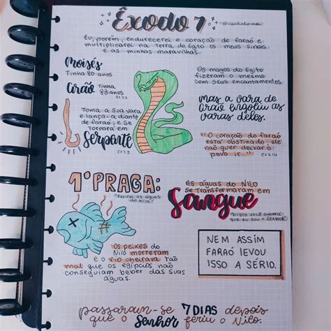 Êxodo 7 Caderno para estudo bíblico Ensinamentos bíblicos Estudos