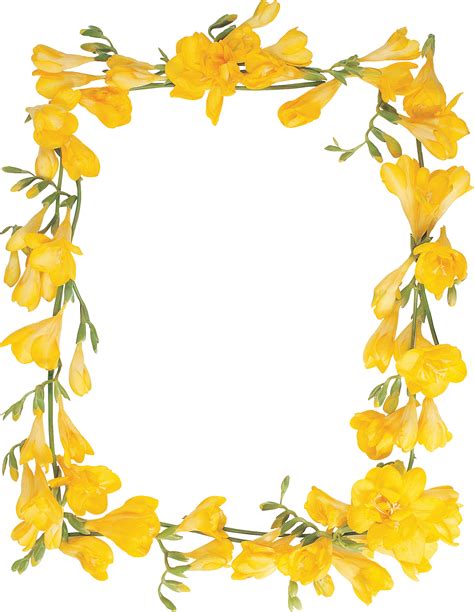 Flower Frame Png Images Transparent Background Png Play Images And