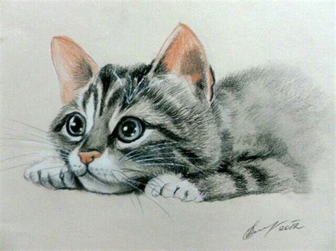 How To Draw Tabby Fur In Coloured Pencil Available On Youtube Artofit