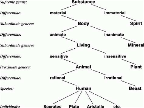 porphyry s tree a mediaeval inheritance network from sowa 2002 download scientific diagram