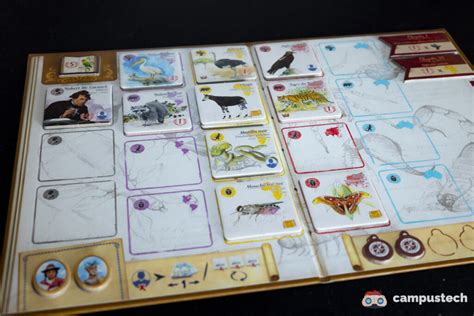 Critique Et Avis Sur Les Traces De Darwin