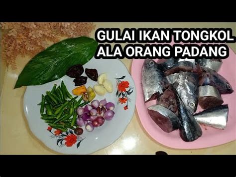 GILAAAA NGGAK NYANGKA IKAN TONGKOL BISA SEENAK INIRESEP SEDERHANA