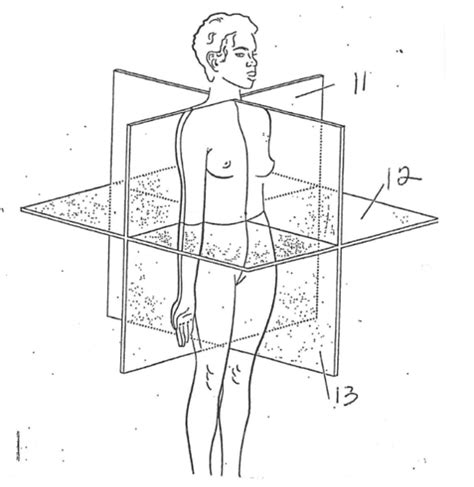 Body Planes Diagram Quizlet