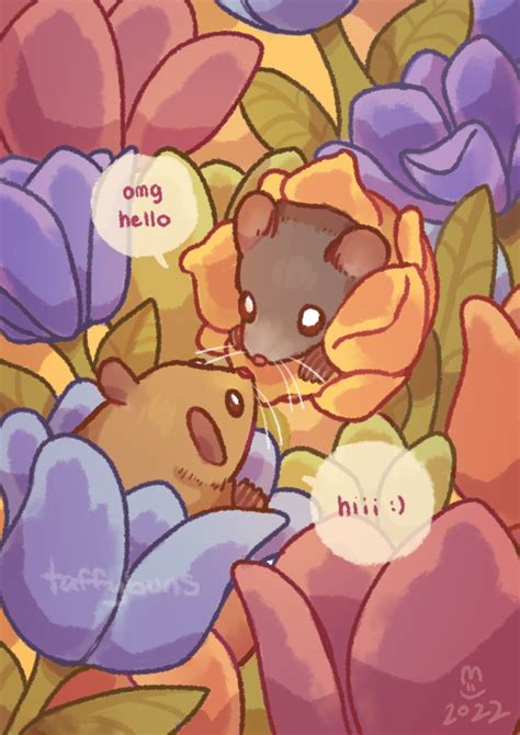 Bean On Twitter RT Taffybuns Thinking About Harvest Mice Again