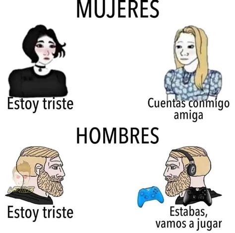 Armadillo Desarmadillo Memes