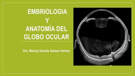 Embriología y anatomía del globo ocular Dra Melody Daniela Salazar
