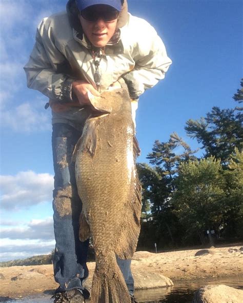 Huge Freshwater Drum Roughfish