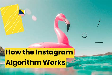 how the instagram algorithm works everything you need to know 2022