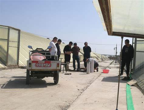 营口站炮台基地南美白对虾虾苗科普示范工作顺利展开 中国水产科学研究院营口增殖实验站