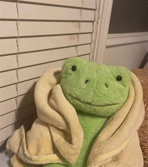 Cute Frog Pfp Pfp Frogs Rana Ranas Froggy Saradaboru Pfps Sapo