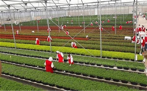 Delegación del Sistema Nacional de Producción visita Finca Las Limas
