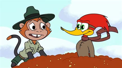 Cara de outono Pica Pau Desenhos animados para crianças WildBrain