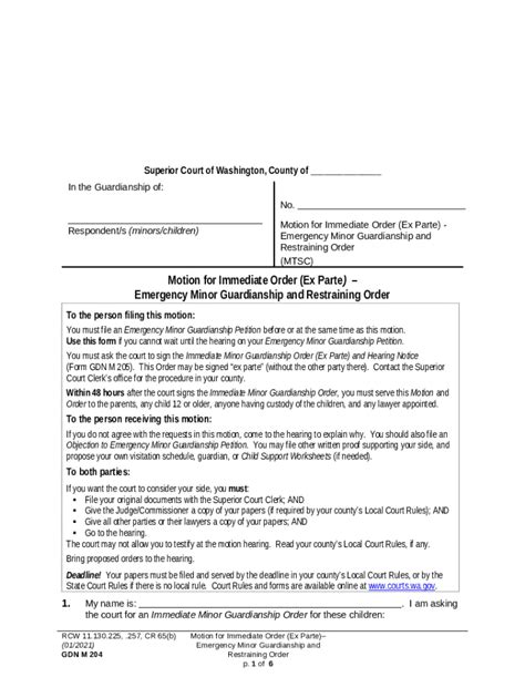 Emergency Minor Guardianship And Restraining Order Doc Template PdfFiller
