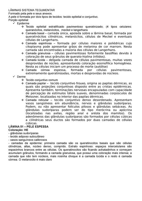 Lâminas Sistema Tegumentar LÂMINAS SISTEMA TEGUMENTAR Formado pela