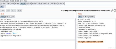 ctfhub技能树（web）详解 ctfhub技能树web csdn博客