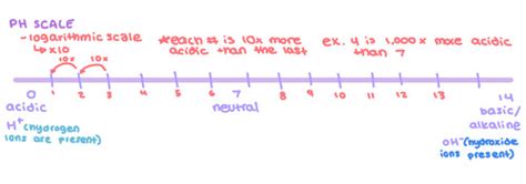Unit 2 Ecology Flashcards Quizlet