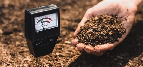 What Is A Basic Soil Test Green Lawn Cares