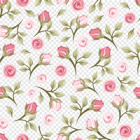 Pink Roses Illustration Vintage Roses Beautiful Varieties For Home