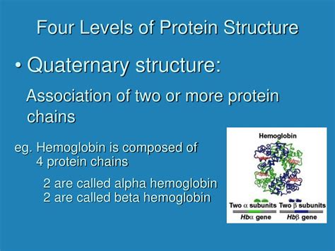 PPT Four Levels Of Protein Structure PowerPoint Presentation Free