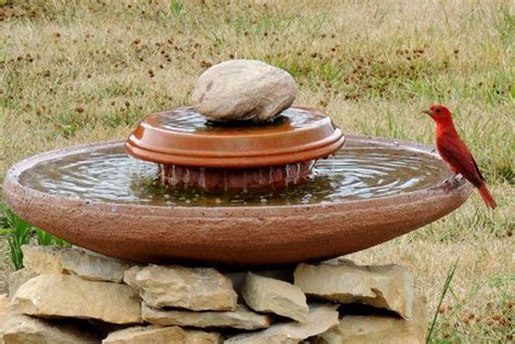 20 Lovely DIY Bird Bath Ideas To Attract Birds To Yard Bird Bath