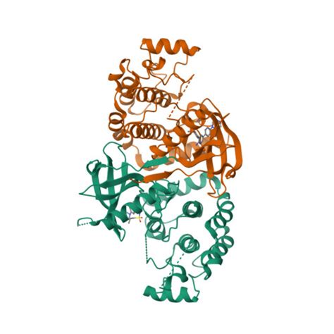 Rcsb Pdb Fu Structure Of The Kinase Domain Of Human Ripk In