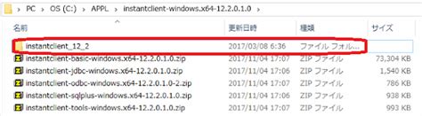 Oracle Instant Client Windows Everything You Do Is Practice
