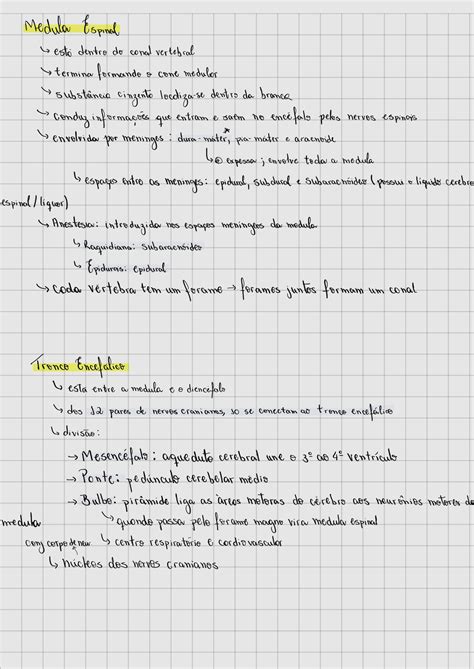 SOLUTION Resumo Neuroanato Studypool