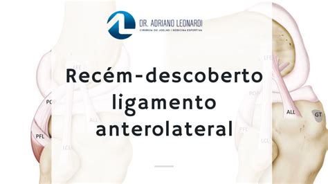O que é a Lesão do Ligamento Colateral Lateral LCL Especialista do