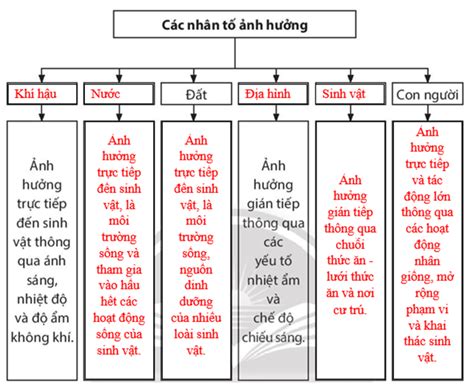 Giải SBT Địa lí 10 trang 55 Chân trời sáng tạo