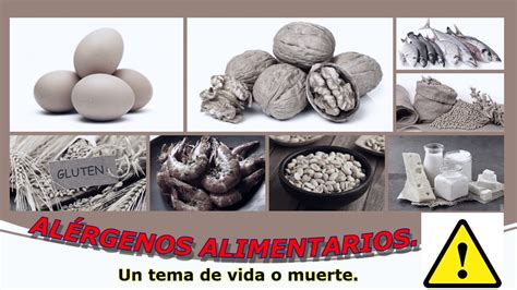 Alergenos Alimentarios YouTube