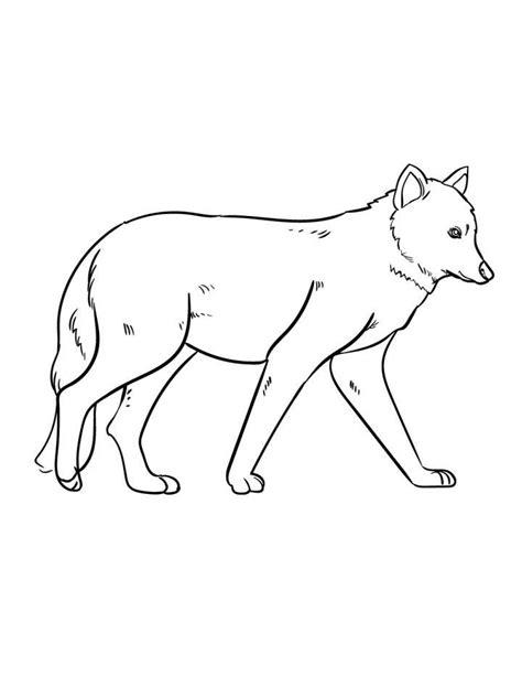 25 Easy Wolf Drawing Ideas How To Draw A Wolf Blitsy