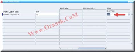 Enable Diagnostics In Oracle Apps Oraask