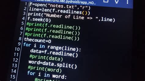 Python Class 12 Question Readline And Readlines YouTube