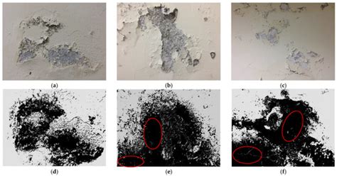 symmetry free full text supervised machine learning based detection of concrete efflorescence