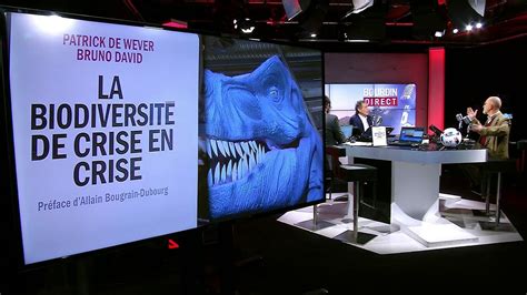 Stop aux idées reçues comment les dinosaures ont ils vraiment disparu