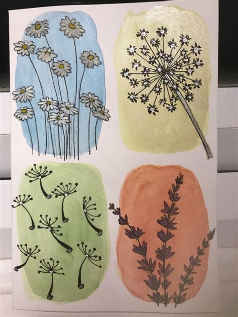 Watercolour And Ink Flower Card Flower Line Drawings Flower Doodles