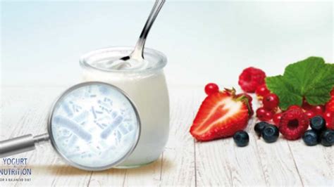 Good Bacteria In Yogurt