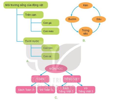 Em hãy biểu diễn cách sắp xếp giá sách thành sơ đồ hình cây theo thông