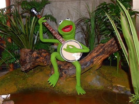 Kermit The Frog And His Delta Beginnings Our Mississippi Home