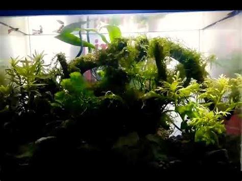 Relaxing Musik Youtube