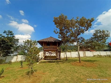 Jual Tanah Kebun Produktif Dengan View Pemandangan Gunung