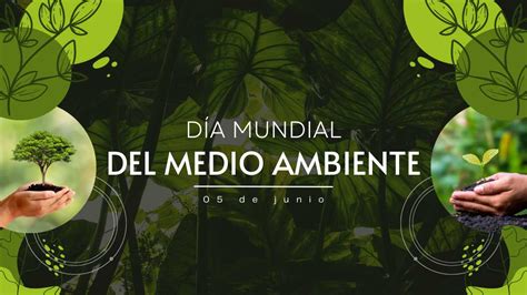 05 de junio Día Mundial del Medio Ambiente Revista Marketing