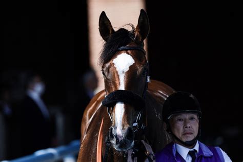 週刊GallopWeekly Gallop on Twitter 函館11R 函館日刊スポーツ杯 は1番人気 モリノドリーム が