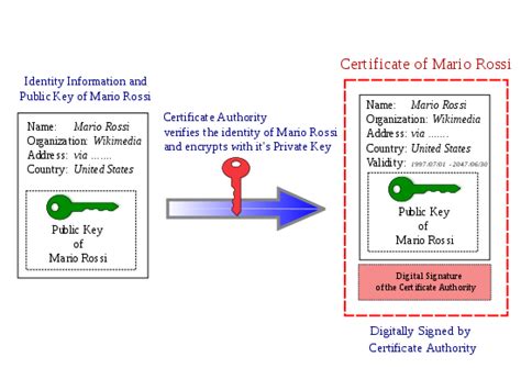 Certificate Authority Certificates Templates Free