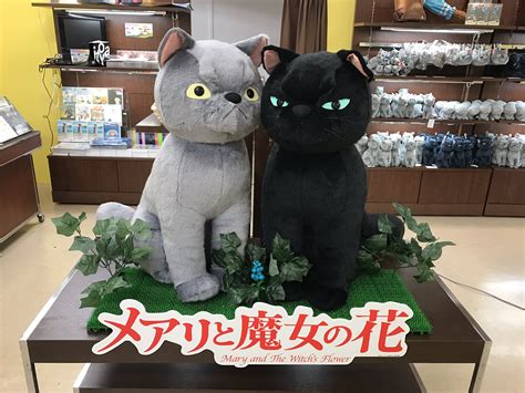 小田急百貨店 新宿店公式 on Twitter おはようございます小田急百貨店新宿店は本日も元気に開店です本日より本館11階催物