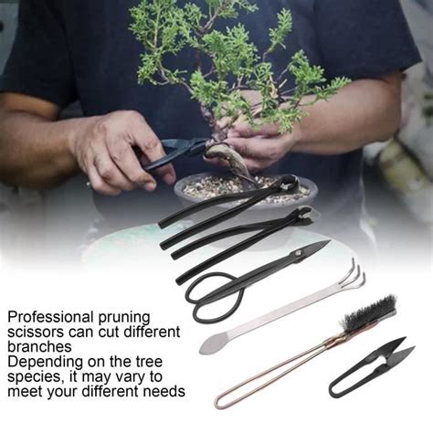 NEUF Outils pour plantes succulentes 6 pièces plantes succulentes