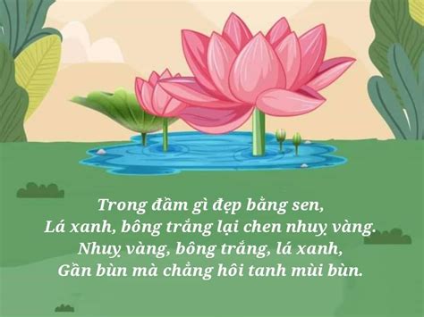 Tìm hiểu bài ca dao viết về hình ảnh hoa sen và giá trị văn hóa trong