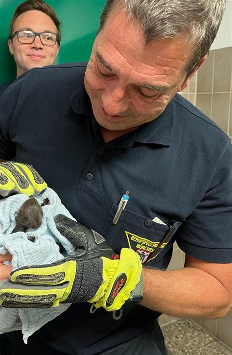 München Feuerwehr rettet Schlange Eichhörnchen und Wasservogel