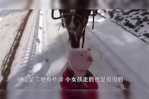 小女孩牵着马在雪地上走接下来马儿的动作真是让人暖心 雪地 动作